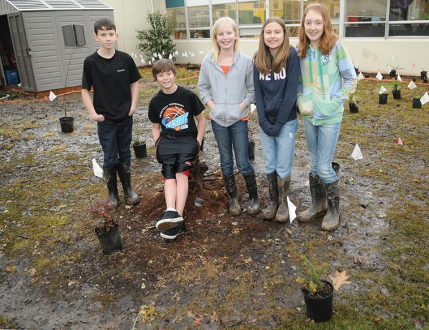 Calapooia students use native plants to reclaim some soggy ground
