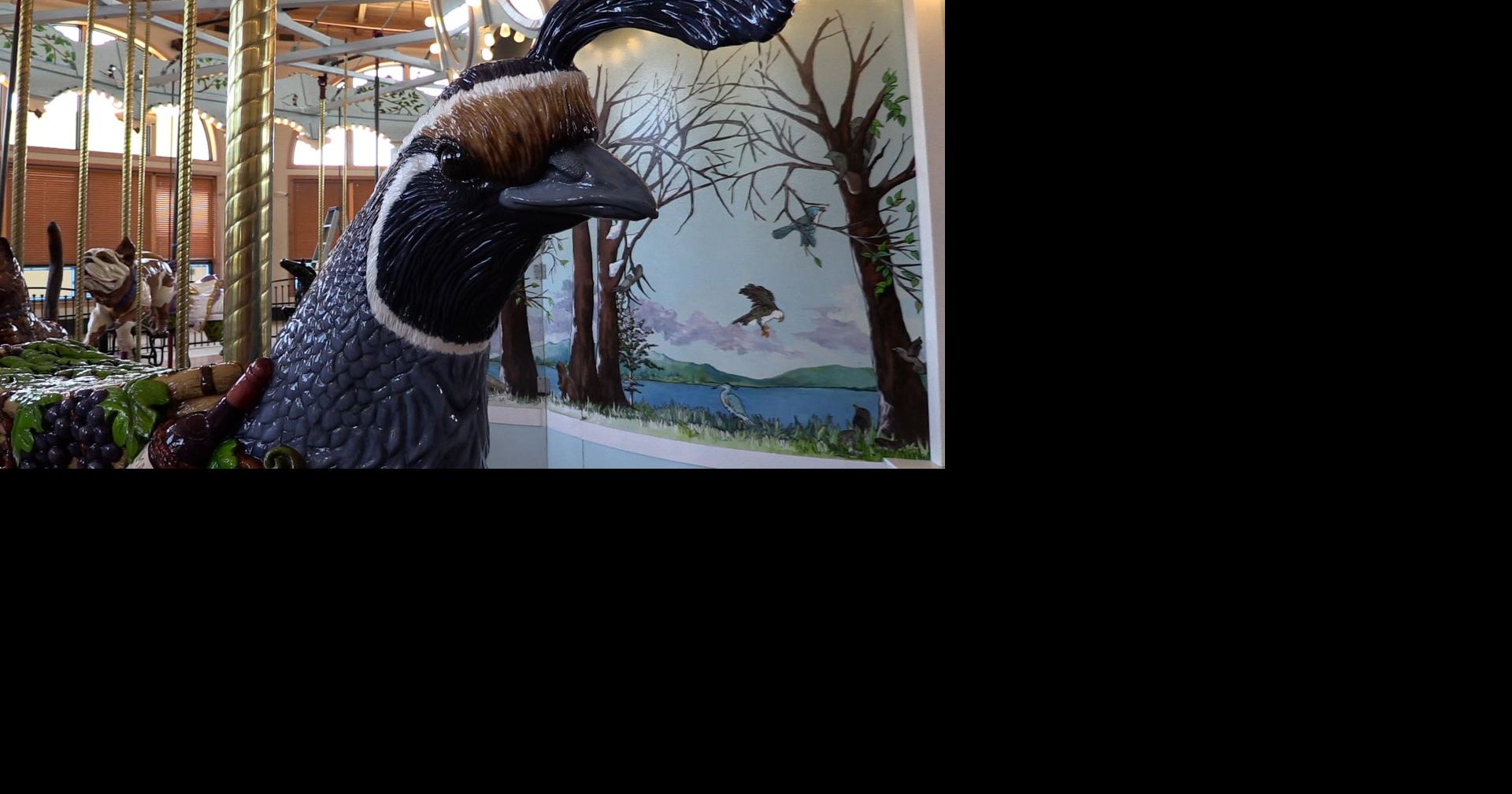 Video: Off and Running