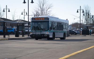 In Albany, bus fares continue to be a thing of the past — for now