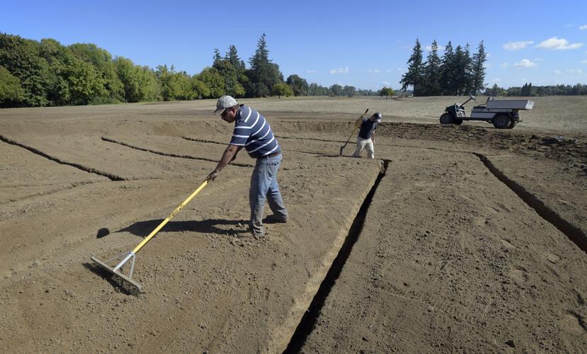 Long-awaited renovation underway at Trysting Tree
