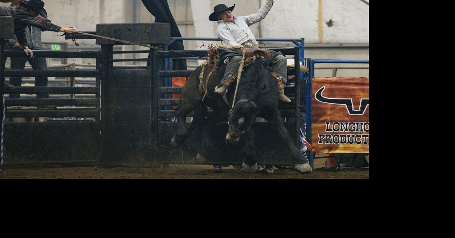 Photos: Hell on Hooves Rodeo comes to Albany