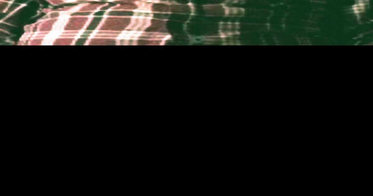 William Harley Dimick