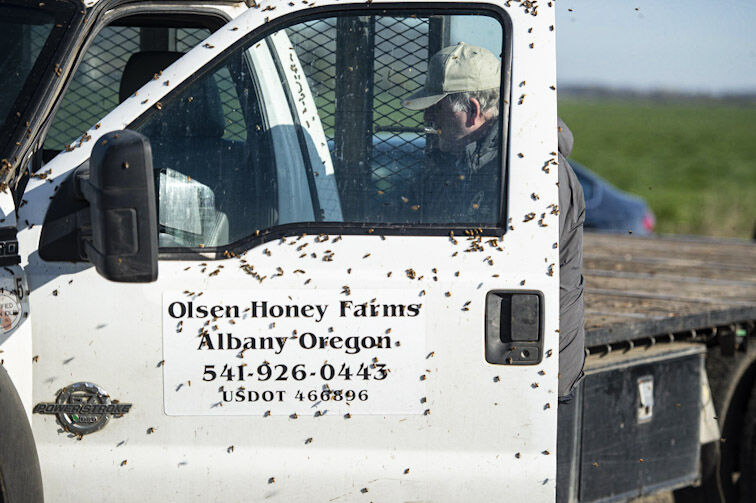 Mid-Willamette Valley bee lovers battle pests, poisons and politicos