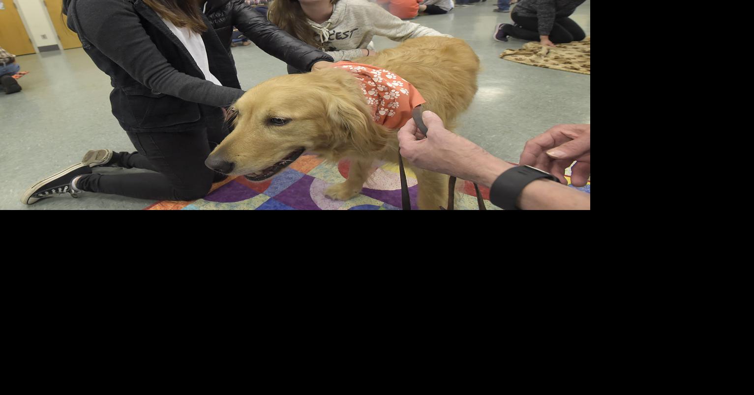 Therapy dogs visit OSU to help students destress during final exams