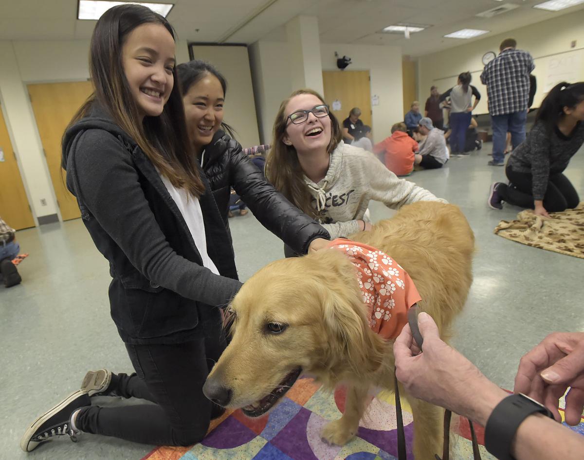 Therapy dogs visit OSU to help students destress during final exams