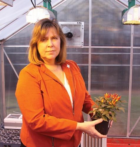 Radiation from tsunami debris won’t be unsafe