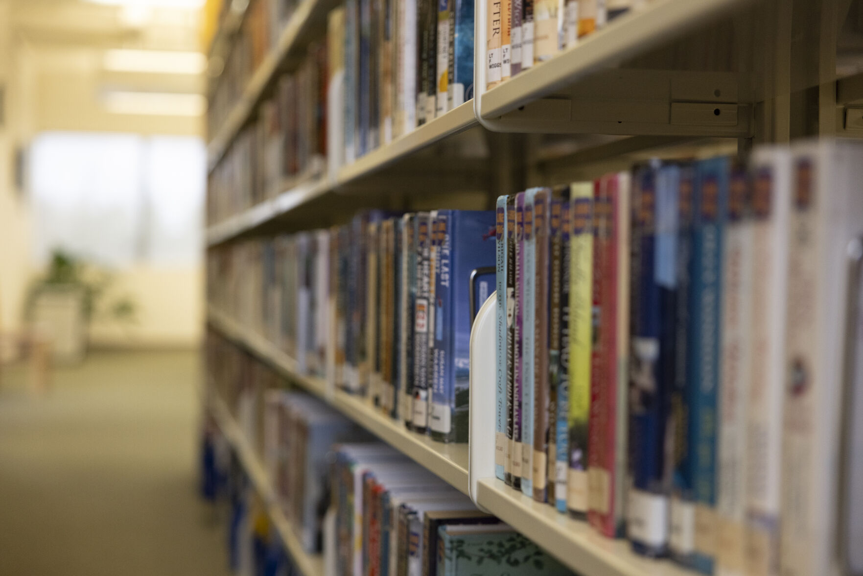 Albany Public Library opens 'library of recipes'