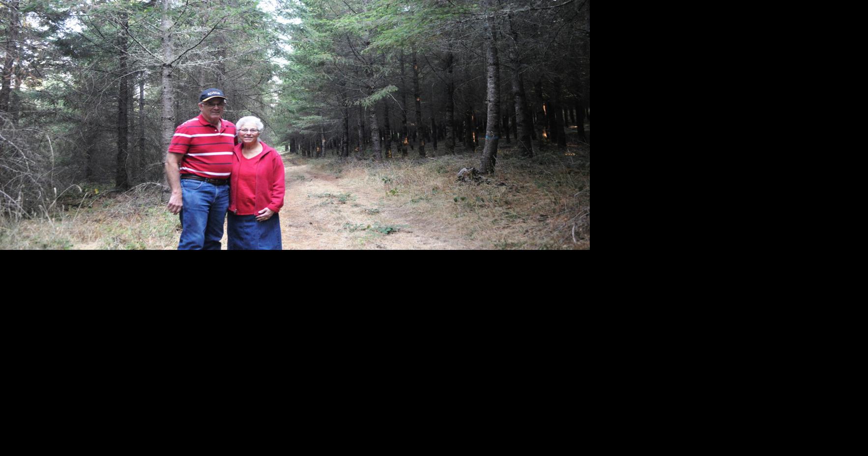 Weld family named Tree Farmers of the Year