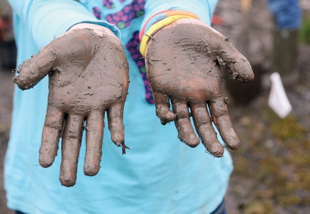 Calapooia students use native plants to reclaim some soggy ground