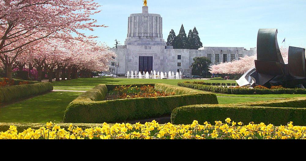 Oregon’s ‘Christmas tree bill’ pumps out more than a billion to local ...