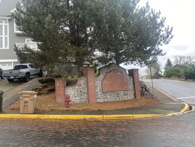 Brownsville residents want formerly red curb to go yellow, city says no