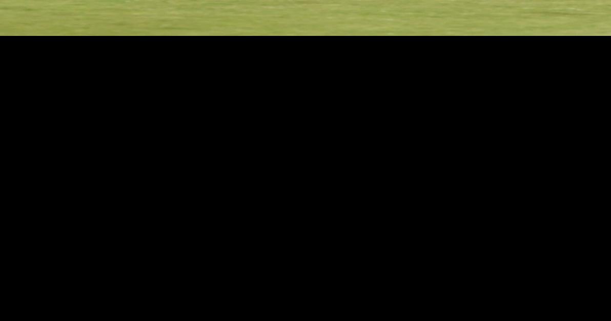 Prep boys golf: Josh Goins medals in second consecutive tournament