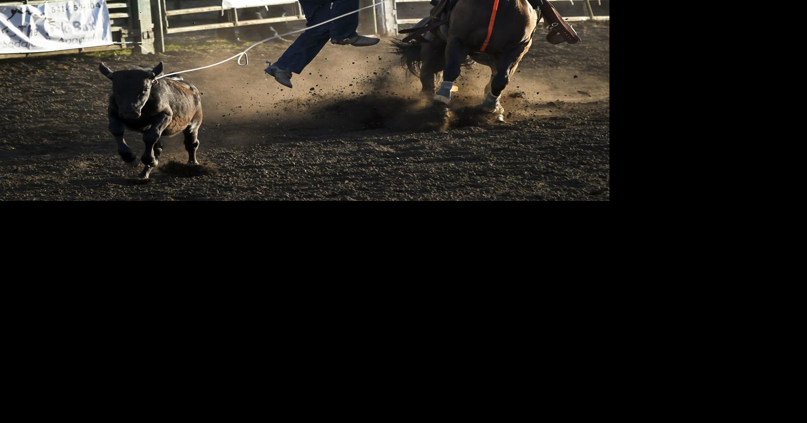 Here's what's happening next month at the Benton County Fair