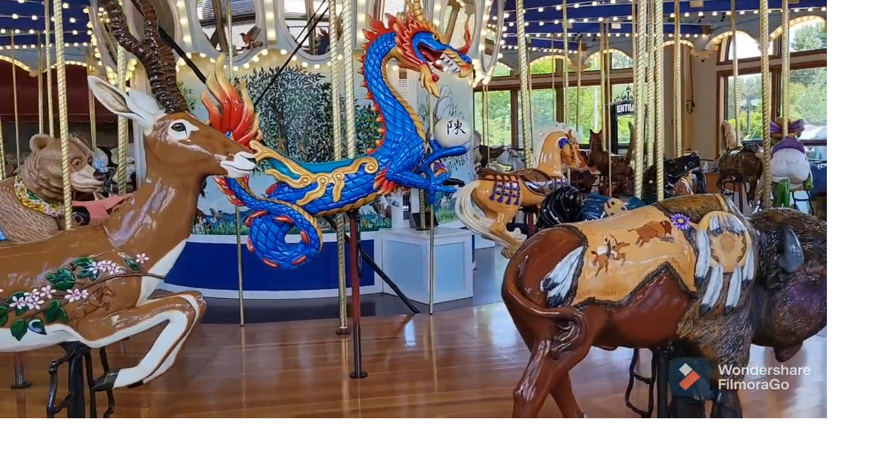 Video: Albany Carousel installation