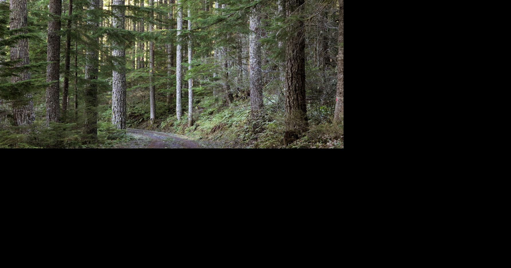 Fate of Linn County's $1.1 billion timber lawsuit now at Oregon ...