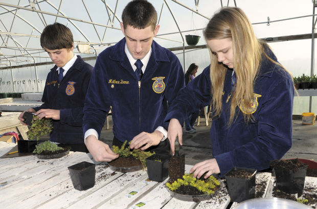FFA members test their floriculture skills