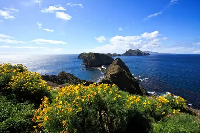 Albany man dies while diving off California coast
