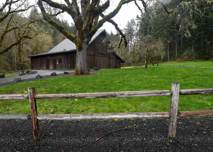 Beazell Memorial Forest remains open and provides outlet during pandemic
