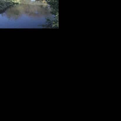 Lebanon council modifies IGA with Albany