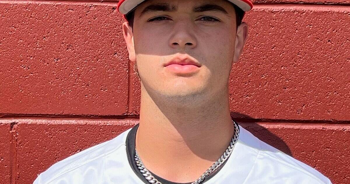Pinkerton gets player, pitcher of the year | Local Sports | derrynews.com