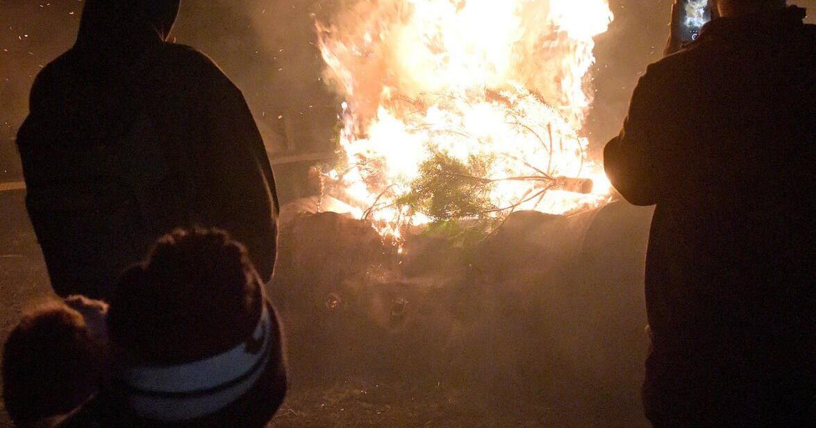 After the holidays: Roaring bonfire burns Christmas trees at J&F Farms ...