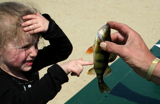 Derry anglers catch lots of fish | News | derrynews.com