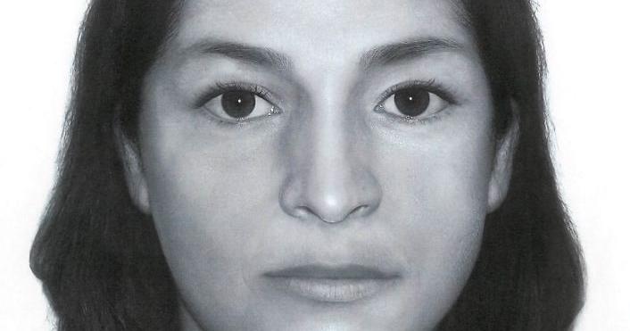 Missing in California: profile of unidentified woman | News ...