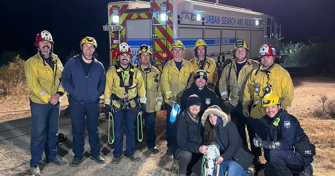 Family Pet Rescued after Falling down 40 Foot Hole in Atolia | News ...