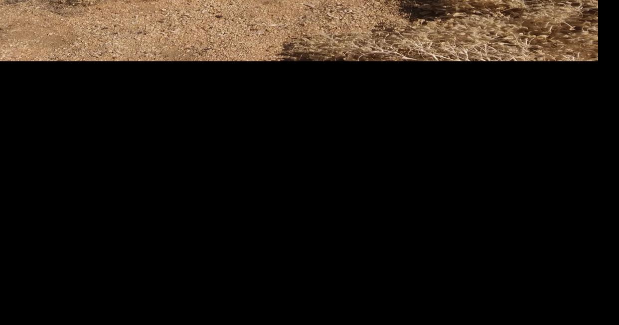 History of Kramer California | News | desertnews.com