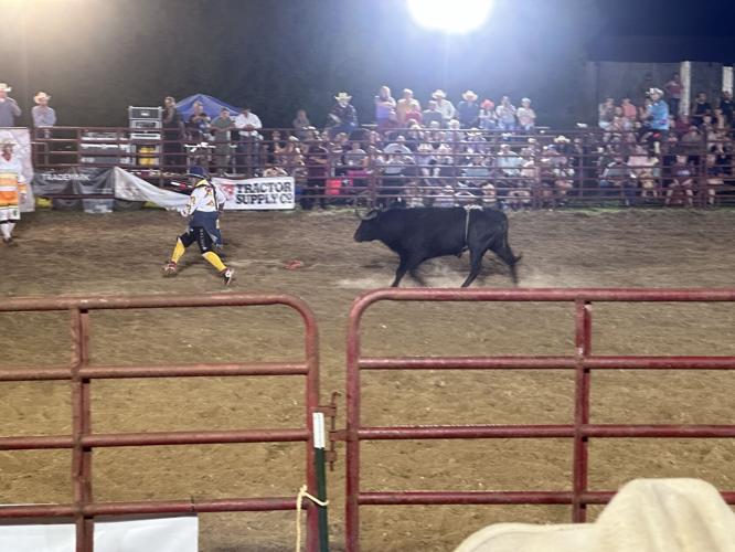 Bucking in the Branch rodeo brings bull-riding, bullfighting to Olive ...