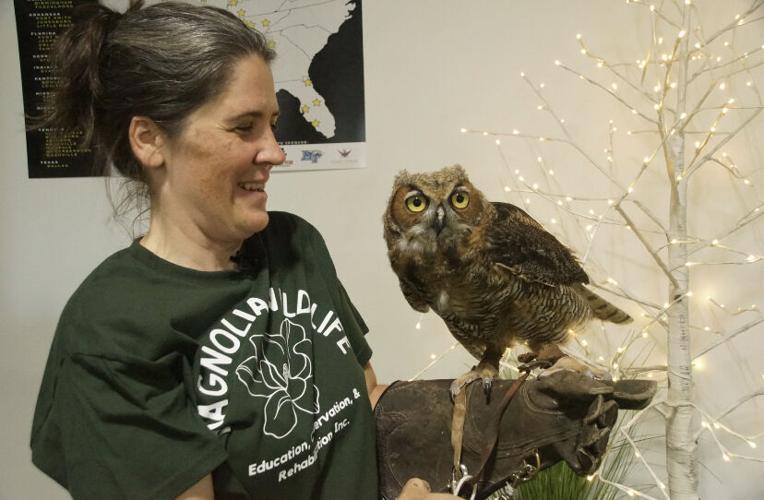 Chalk art a “hoot” for wildlife | News | desototimes.com