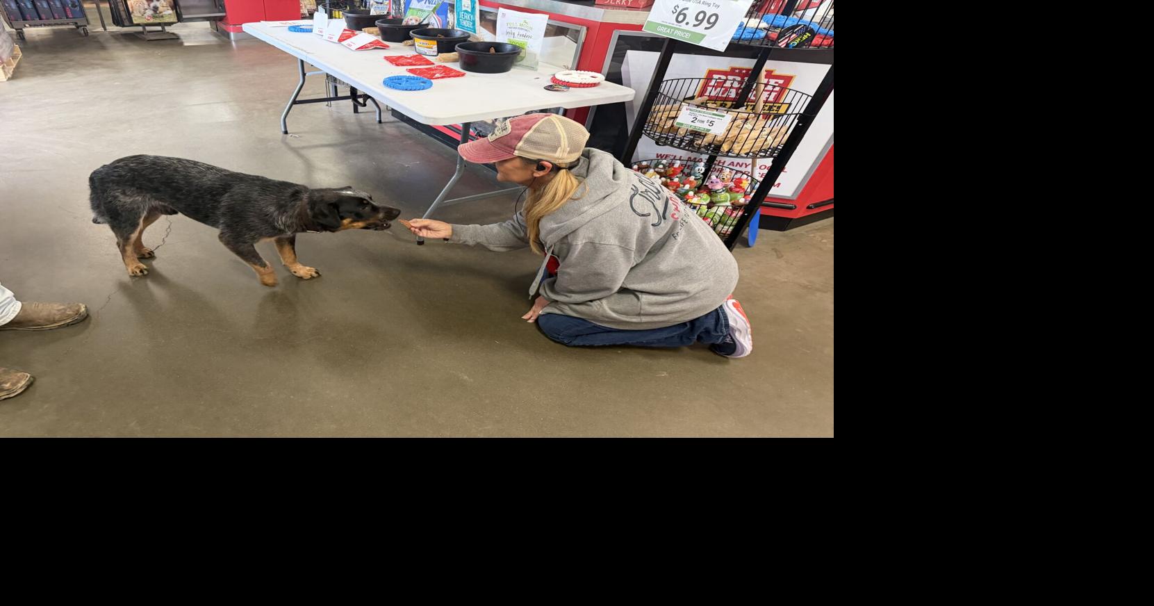 Pet Tasting Event Highlights Special Bond Between Horn Lake Tractor ...