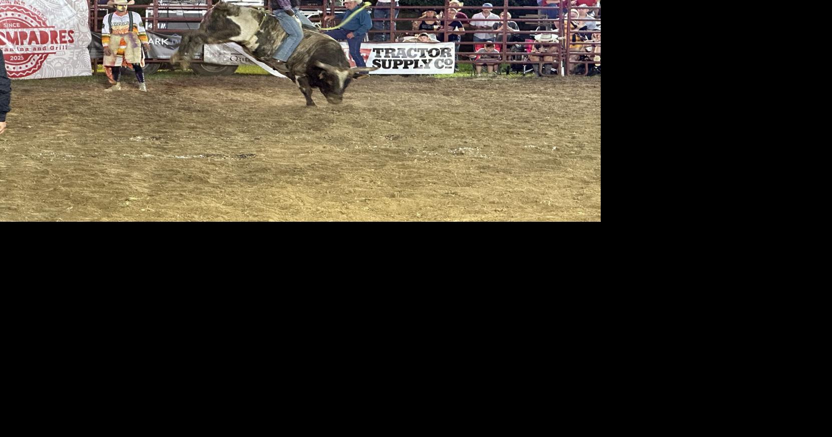 Bucking in the Branch rodeo brings bull-riding, bullfighting to Olive ...