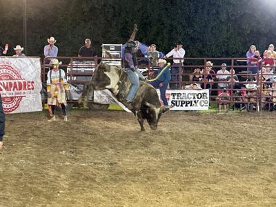 Bucking in the Branch rodeo brings bull-riding, bullfighting to Olive ...