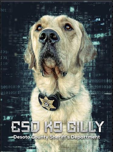 ESD K9 Gilly back with second trading card | News | desototimes.com