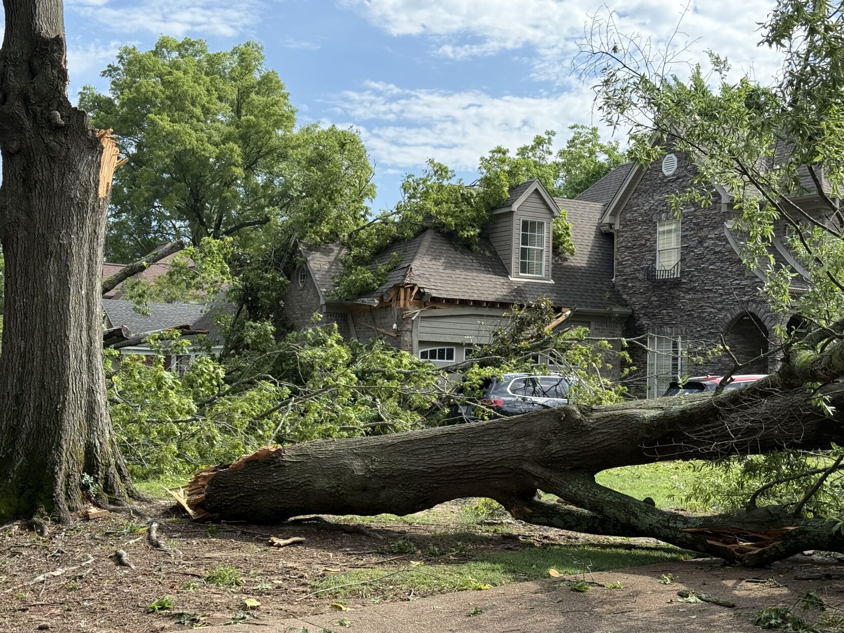 Hernando cleaning up from severe weather | News | desototimes.com