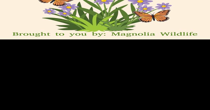 Magnolia Wildlife to build pollinator garden in Hernando | News ...