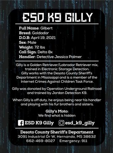 ESD K9 Gilly back with second trading card | News | desototimes.com