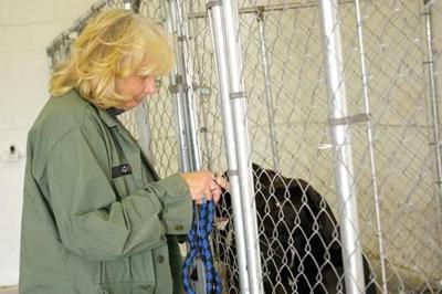 Hernando opens new animal shelter | News | desototimes.com