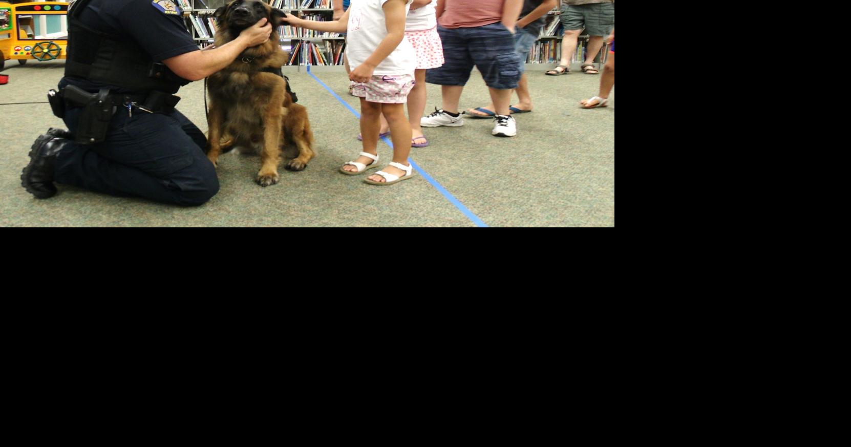 'Krash' course for kids at library | News | desototimes.com