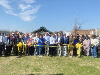 lisa dillon microsoft