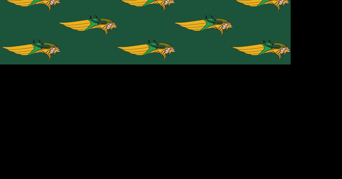 Latta Vikings Softball Playoffs Lower State/State Series | Sports ...