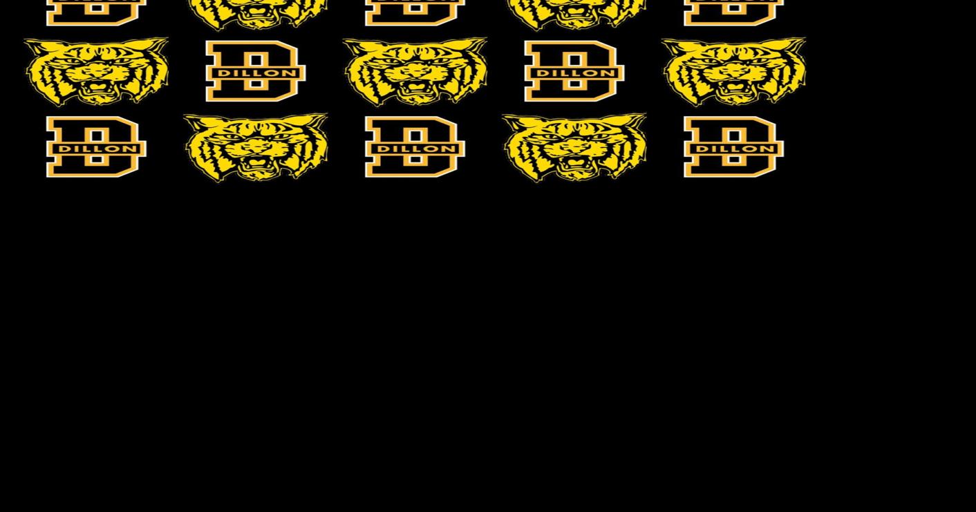 Dillon Softball Playoffs | Sports | dillonheraldonline.com