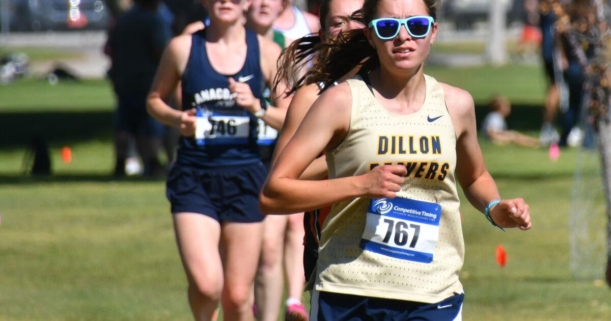 Dillon cross country runners advance to state meet | Sports ...