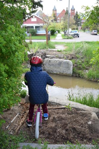 Generator gap filled, bridge gap remains | News | dillontribune.com