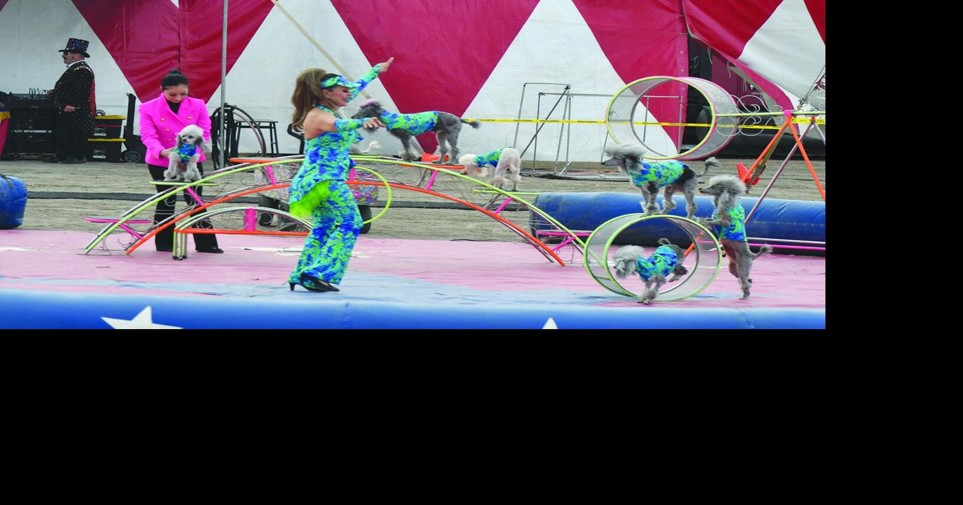The circus was in town | News | dillontribune.com