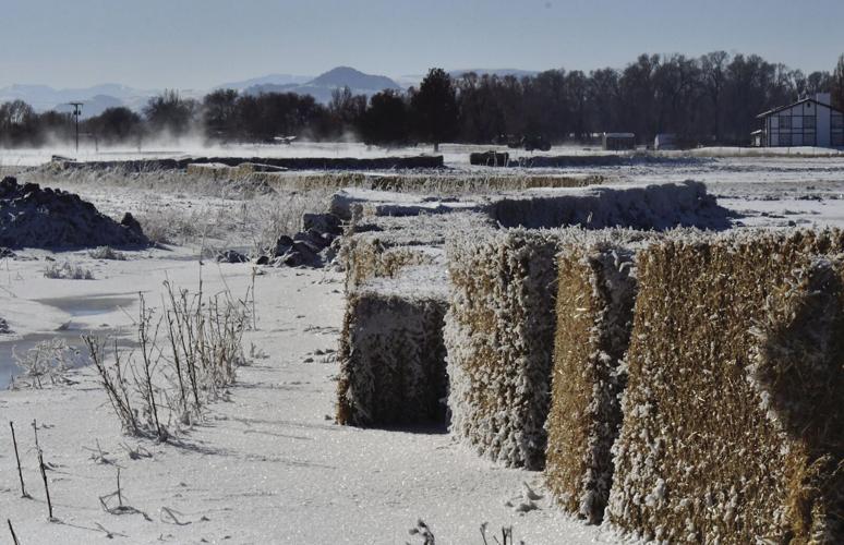 BEAVERHEAD FLOODS | News | dillontribune.com