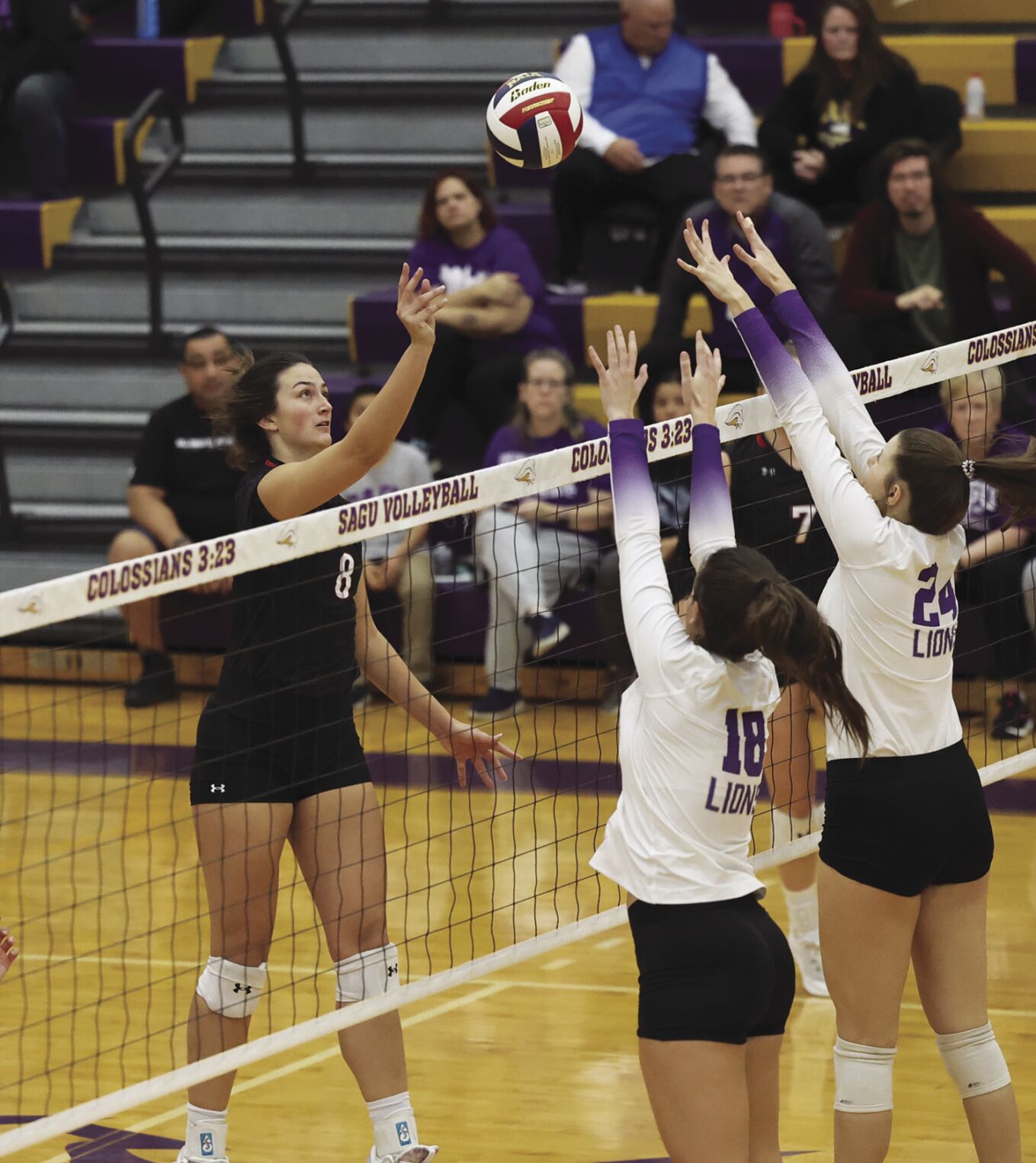 Dawgs move on in NAIA net tourney | Sports | dillontribune.com