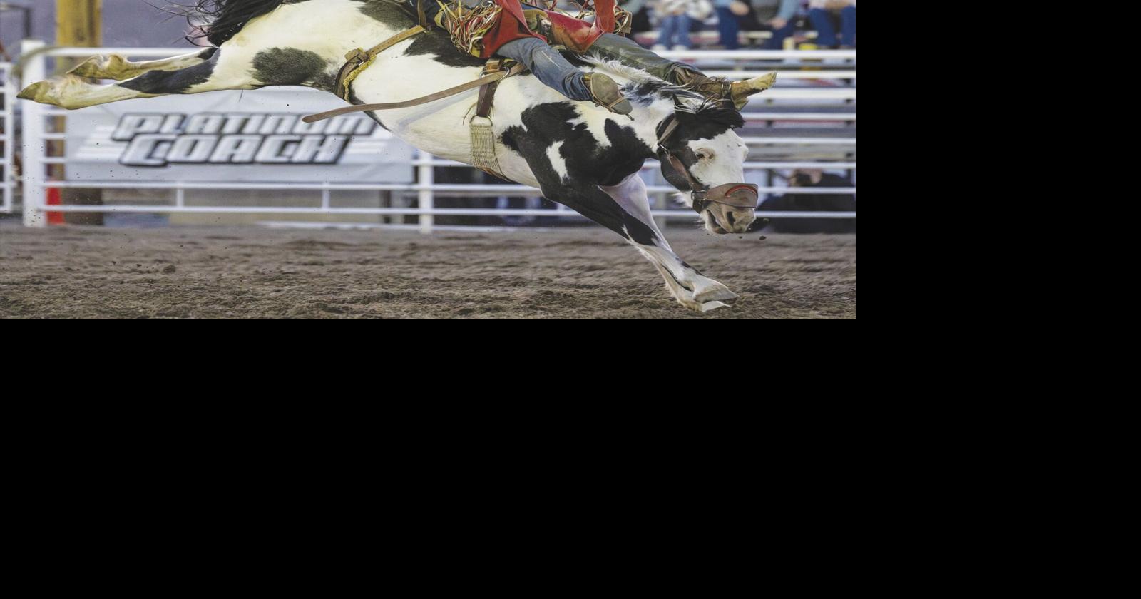 Western rodeo produces excellent Big Sky Region rodeo | Sports ...