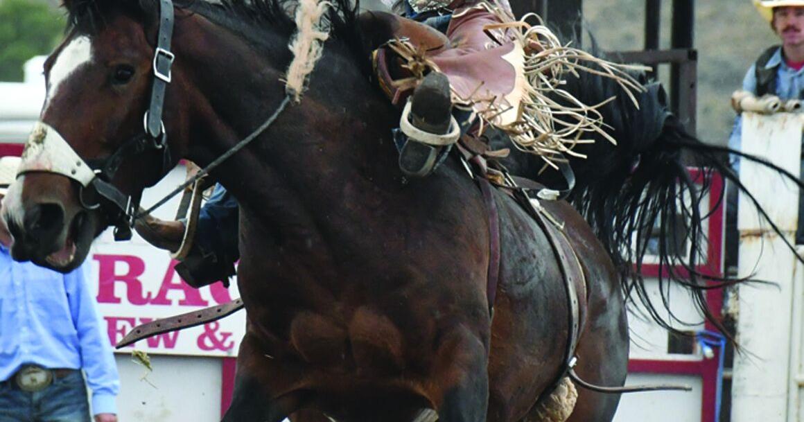 Cowboy Up!: Rodeo about to become Montana’s official state sport ...